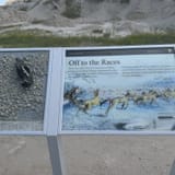 Fossil Exhibit Trail, South Dakota - 854 Reviews, Map | AllTrails