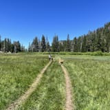 Big Meadow to Round Lake, California - 871 Reviews, Map | AllTrails