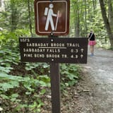Sabbaday Falls , New Hampshire - 1,531 Reviews, Map | AllTrails