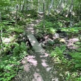 Boston Lot Lake, New Hampshire - 760 Reviews, Map | AllTrails