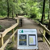 Brockenhurst and the Tall Trees Trail Circular, Hampshire, England ...