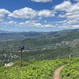 Thunderhead Hiking Trail, Colorado - 976 Reviews, Map | AllTrails