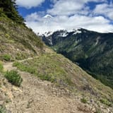 Bald Mountain from Lolo Pass Trail, Oregon - 1,846 Reviews, Map | AllTrails