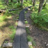 Tonsina Creek Trail, Alaska - 1,578 Reviews, Map | AllTrails
