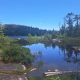 Crane Mountain Loop Hike, New York - 1,380 Reviews, Map | AllTrails