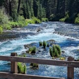West Metolius River Trail, Oregon - 745 Reviews, Map | AllTrails