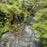 Enchanted Valley Chalet via East Fork Quinault River Trail, Washington ...