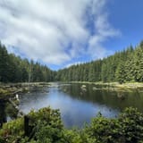 Lily and Lizard Lakes Loop Trail, Washington - 882 Reviews, Map | AllTrails