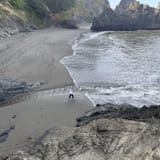 Secret Beach Trail, Oregon - 1,403 Reviews, Map | AllTrails
