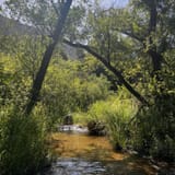 Tenaja Falls, California - 739 Reviews, Map | AllTrails