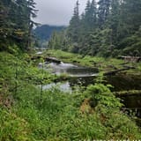 Perseverance Lake Trail, Alaska - 249 Reviews, Map | AllTrails