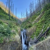 Oneonta Trail, Oregon - 724 Reviews, Map | AllTrails
