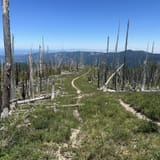 Cooper Spur Trail via Tilly Jane Trail, Oregon - 384 Reviews, Map ...