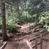 Seven Bridges Trail, Colorado - 7,711 Reviews, Map | AllTrails