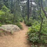 Seven Bridges Trail, Colorado - 7,711 Reviews, Map | AllTrails