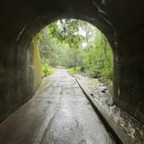 Avalon Loop Trail, Maryland - 293 Reviews, Map | AllTrails