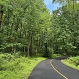 Avalon Loop Trail, Maryland - 293 Reviews, Map | AllTrails