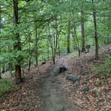 Avalon Loop Trail, Maryland - 293 Reviews, Map | AllTrails