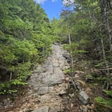 Flume Slide Trail to Liberty Spring Trail Loop, New Hampshire - 2,441 ...