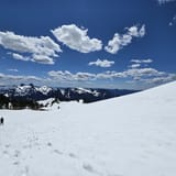 Muir Snowfield Ski Tour, Washington - 1,607 Reviews, Map | AllTrails