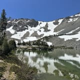 Barney Lake Trail, California - 1,169 Reviews, Map | AllTrails