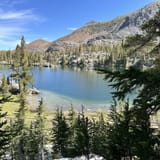Barney Lake Trail, California - 1,169 Reviews, Map | AllTrails