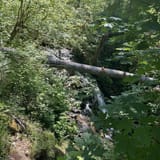 Mima Falls Loop, Washington - 1,686 Reviews, Map | AllTrails