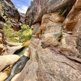 Checkerboard Mesa Canyon Trail, Utah - 197 Reviews, Map | AllTrails