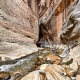 Checkerboard Mesa Canyon Trail, Utah - 197 Reviews, Map | AllTrails