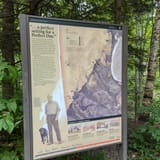 Pierce Stocking Scenic Drive, Michigan - 280 Reviews, Map | AllTrails