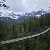 Blackshale Suspension Bridge, Alberta, Canada - 1,007 Reviews, Map ...
