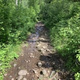 Day Hill Loop, Minnesota - 359 Reviews, Map | AllTrails