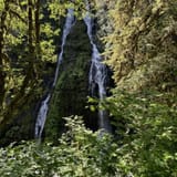 Boulder River Trail, Washington - 1,898 Reviews, Map | AllTrails