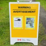 Loop Brook Trail, British Columbia, Canada - 251 Reviews, Map | AllTrails