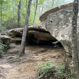 Princess Arch Trail, Kentucky - 1,407 Reviews, Map | AllTrails