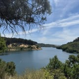 Lake Chabot Loop via West, Bass, Columbine, Honker, East Shore Trails ...