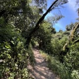 Lake Chabot Loop via West, Bass, Columbine, Honker, East Shore Trails ...