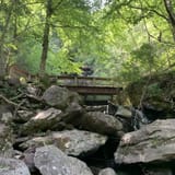 Lehigh Gorge Trail, Pennsylvania - 379 Reviews, Map | AllTrails