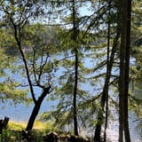 Bon Tempe Lake Loop, California - 2,083 Reviews, Map | AllTrails