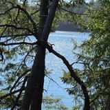 Bon Tempe Lake Loop, California - 2,083 Reviews, Map | AllTrails