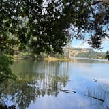 Bon Tempe Lake Loop, California - 2,083 Reviews, Map | AllTrails