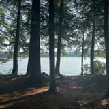 Chamberlain-Reynolds Memorial Forest Loop, New Hampshire - 1,075 ...