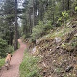 Eagle's View Trail Loop, Colorado - 3,199 Reviews, Map | AllTrails