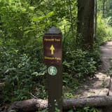 Ferncliff Trail, Pennsylvania - 1,514 Reviews, Map | AllTrails