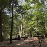 Ferncliff Trail, Pennsylvania - 1,514 Reviews, Map | AllTrails