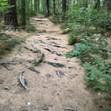 Salt Run, Ohio - 1,515 Reviews, Map | AllTrails