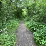 Salt Run, Ohio - 1,515 Reviews, Map | AllTrails