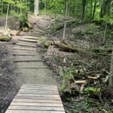 Salt Run, Ohio - 1,515 Reviews, Map | AllTrails