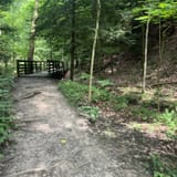 Salt Run, Ohio - 1,515 Reviews, Map | AllTrails