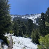 Truman Gulch Trail, Montana - 391 Reviews, Map | AllTrails